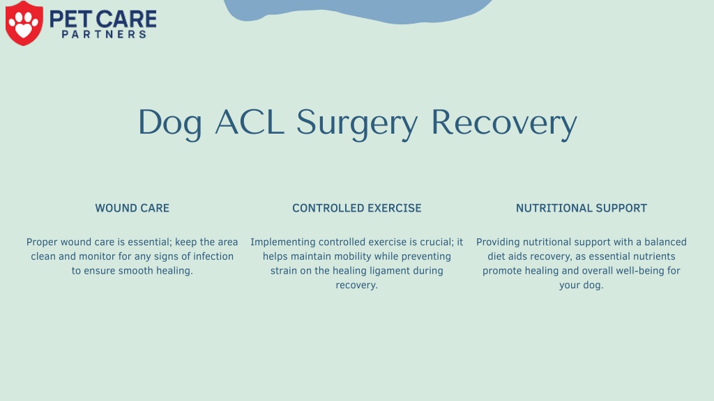 PPT - Dog ACL Surgery Recovery Helping Your Dog Heal Safely PowerPoint ...