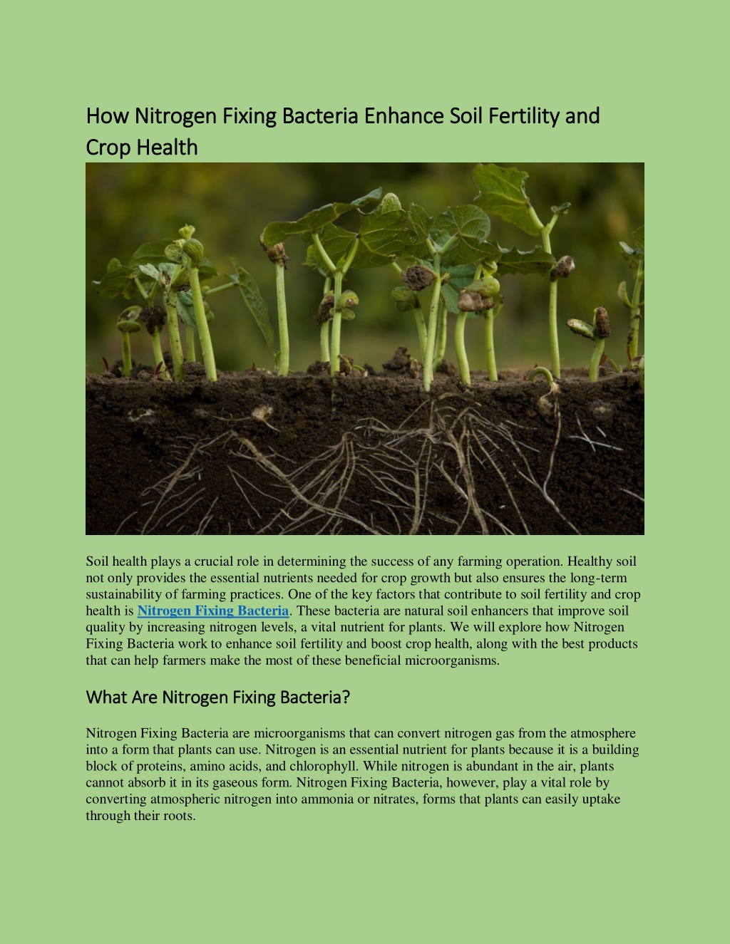PPT - How Nitrogen Fixing Bacteria Enhance Soil Fertility and Crop ...