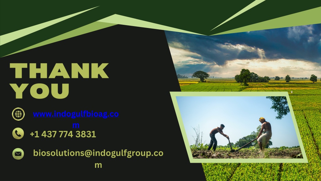 PPT - The Role of Microbial Blends in Sustainable Agriculture Practice ...