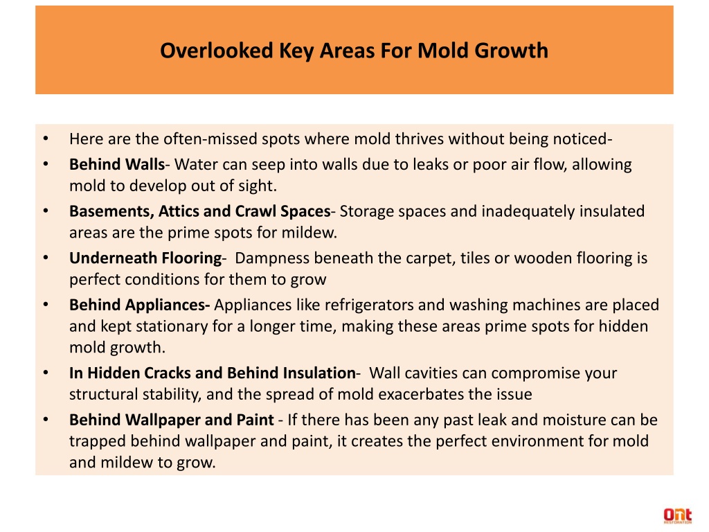 PPT - Prevent Mold Damage: Don't Overlook These Key Areas PowerPoint ...