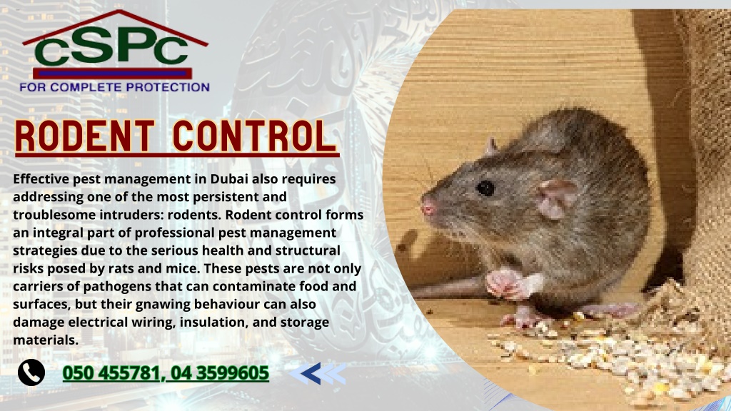 PPT - Maximizing Property Protection with Pest Control Yearly Contract ...