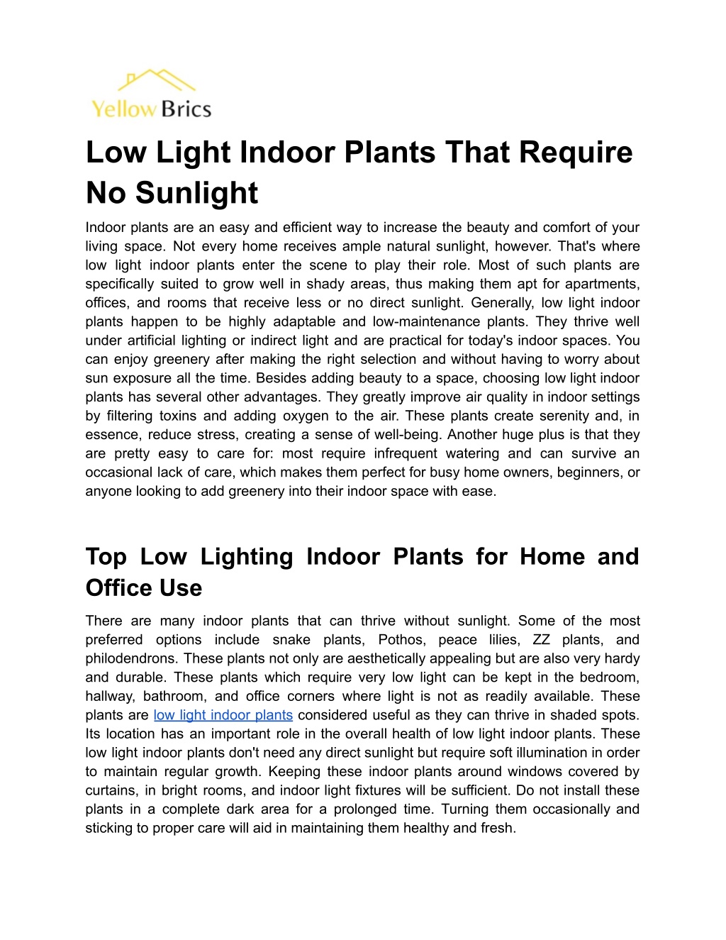 PPT - Best Low Light Indoor Plants for Sun-Free Spaces PowerPoint ...