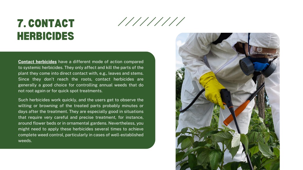 PPT - A Guide to Herbicide Types and Their Uses PowerPoint Presentation ...