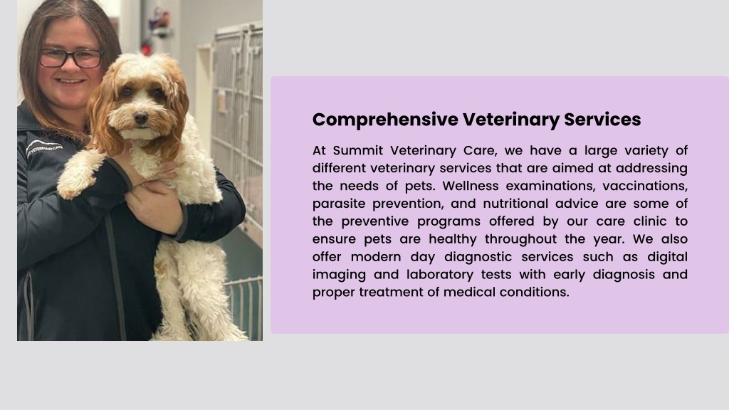 PPT - Summit Veterinary Care – Compassionate & Comprehensive Pet ...