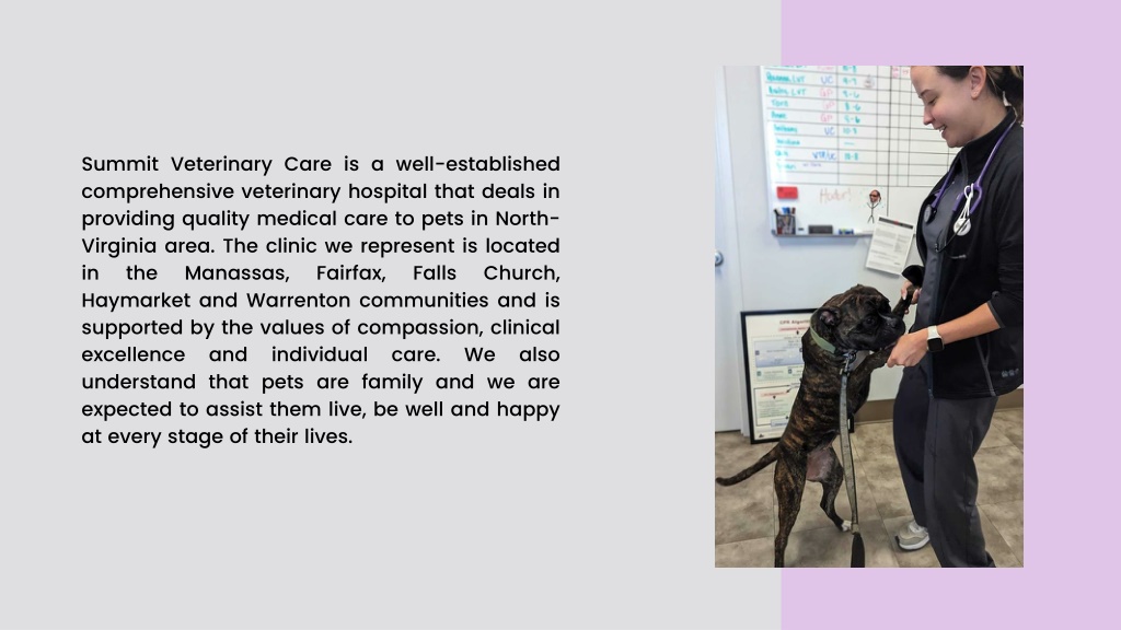 PPT - Summit Veterinary Care – Compassionate & Comprehensive Pet ...