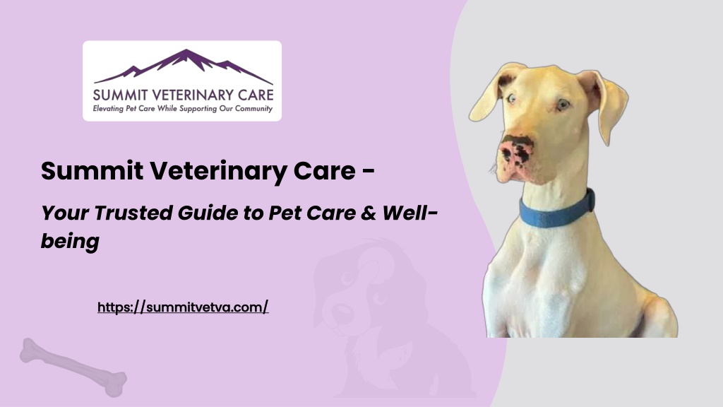 PPT - Summit Veterinary Care – Compassionate & Comprehensive Pet ...