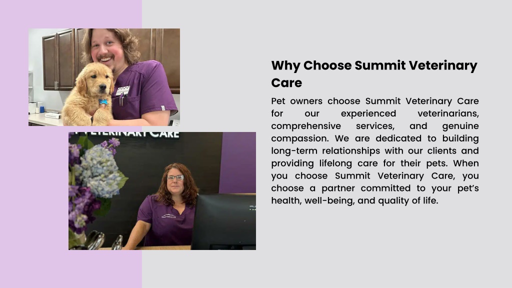 PPT - Summit Veterinary Care – Compassionate & Comprehensive Pet ...