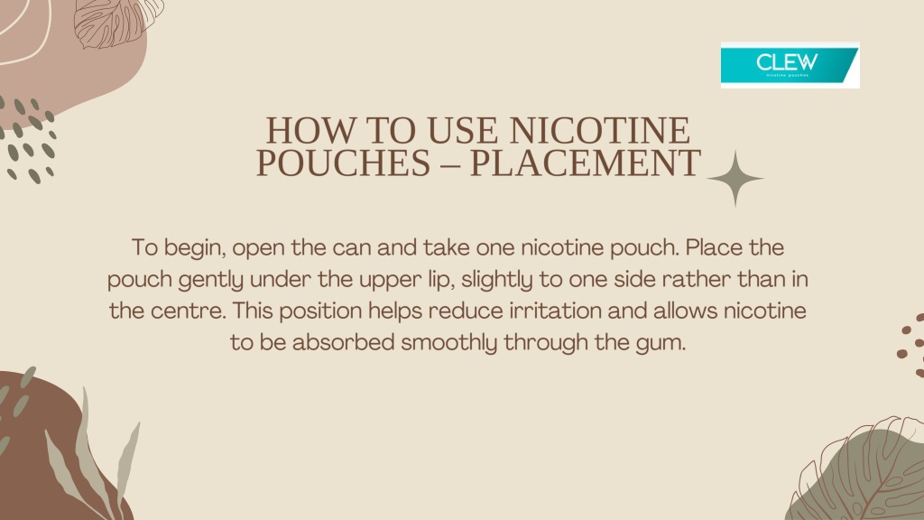 PPT - how to use nicotine pouches PowerPoint Presentation, free ...