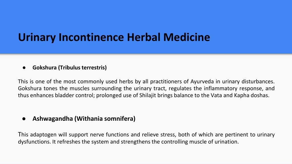 PPT - Top Herbal Medicines for Urine Leakage Treatment_ Safe ...