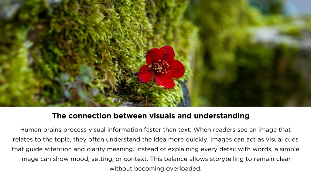PPT - How Free Online Images Support Clear and Simple Storytelling ...