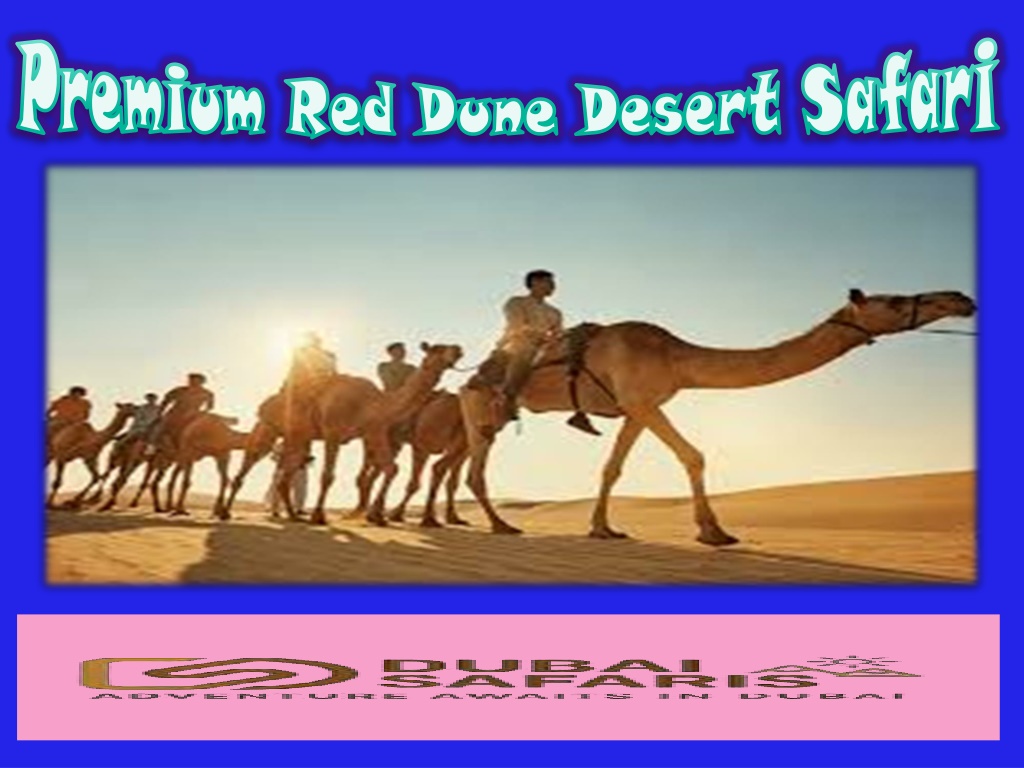 PPT - Premium Red Dune Desert Safari PowerPoint Presentation, free ...