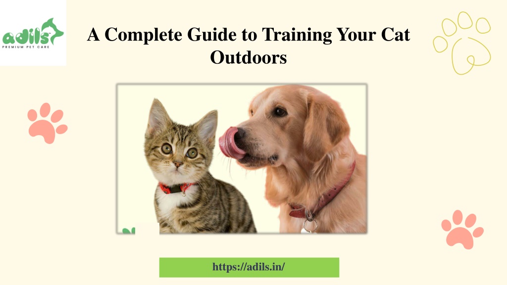 PPT - A Complete Guide to Training Your Cat Outdoors PowerPoint ...
