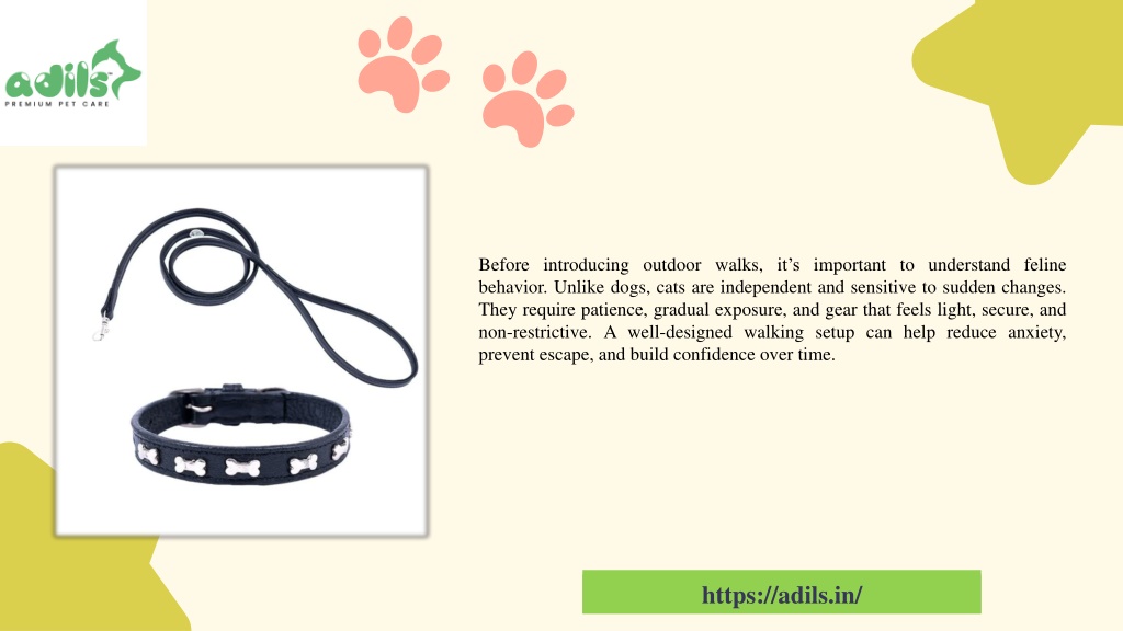 PPT - A Complete Guide to Training Your Cat Outdoors PowerPoint ...