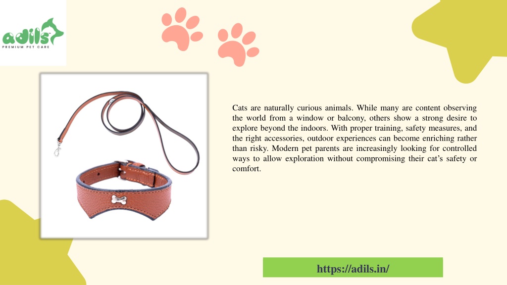 PPT - A Complete Guide to Training Your Cat Outdoors PowerPoint ...