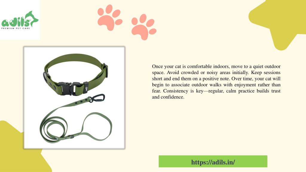 PPT - A Complete Guide to Training Your Cat Outdoors PowerPoint ...