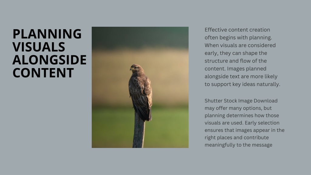 PPT - Shutter Stock Image Download A Simple Approach to Visual Content ...