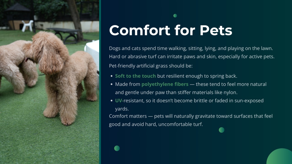 PPT - How to Choose the Best Artificial Grass for Pets: A Guide to Pet ...