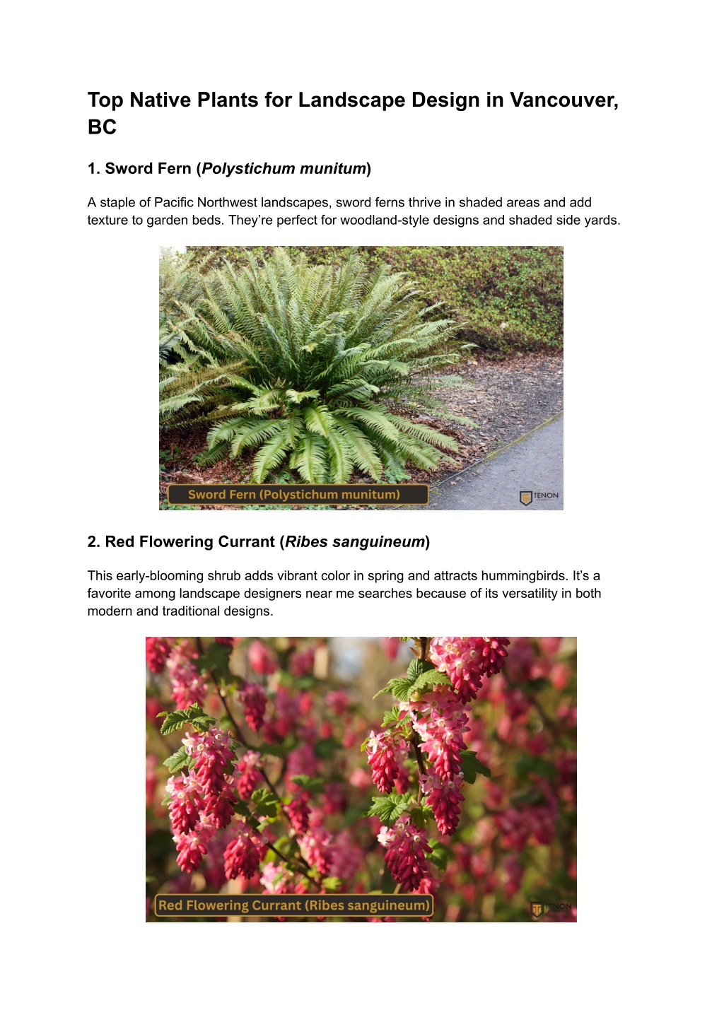 PPT - Best Native Plants for Landscape Design in Vancouver, BC ...
