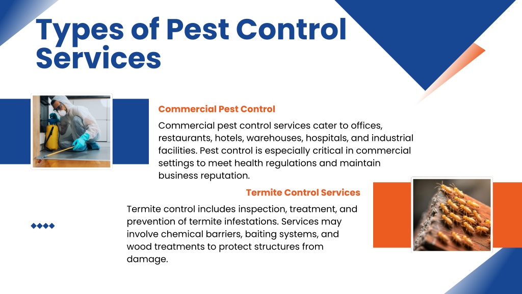 PPT - Pest Control Services: Protecting Your Home and Business from ...