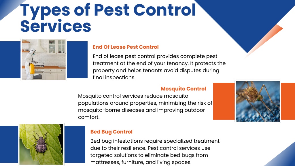 PPT - Pest Control Services: Protecting Your Home and Business from ...