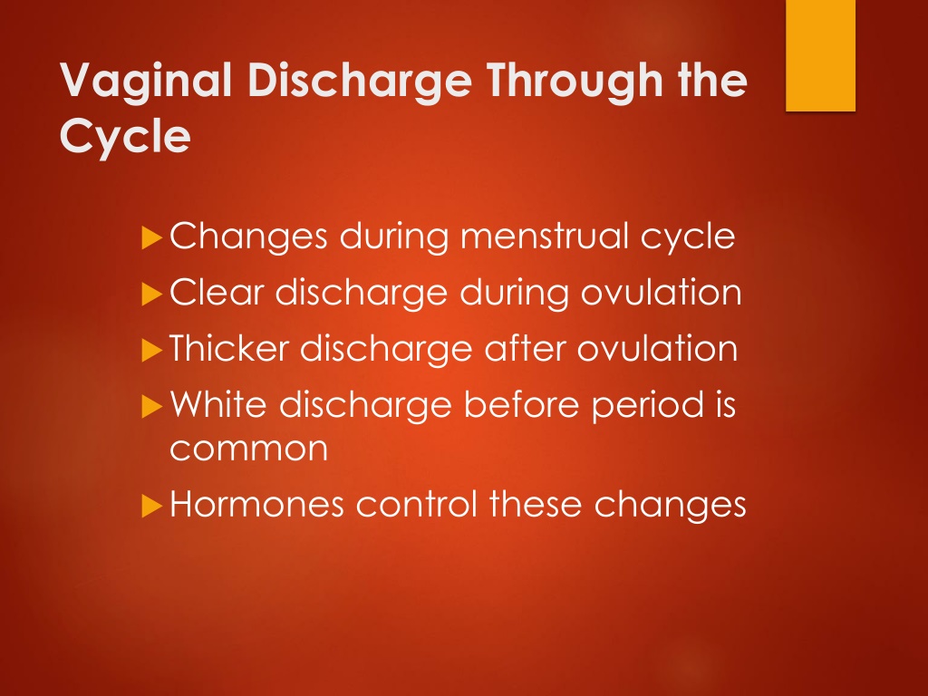 PPT - Is White Discharge Before Your Period Normal? PowerPoint ...