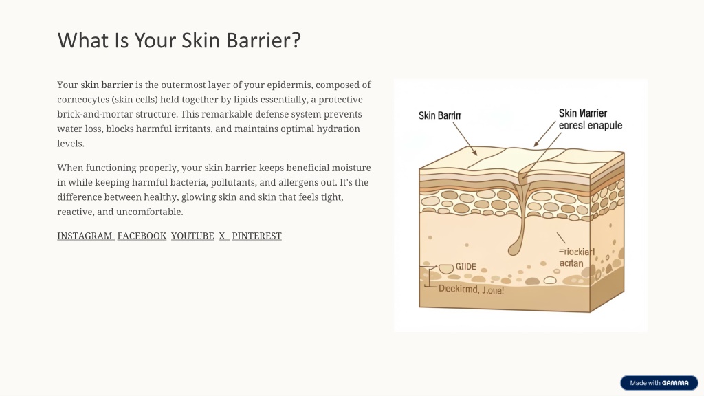 PPT - Skin-Barrier-The-Foundation-of-Healthy-Skin PowerPoint ...