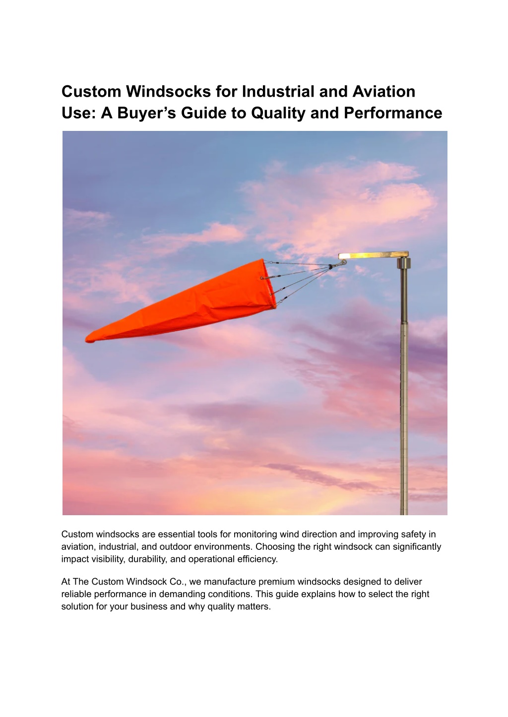 PPT - Industrial and Aviation Custom Windsocks: Complete Buyer’s Guide ...