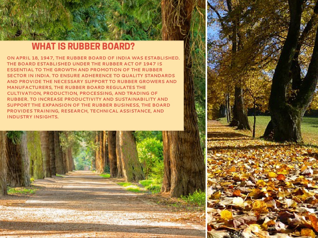 PPT - Rubber Board Login: How to Access Online Services Easily ...