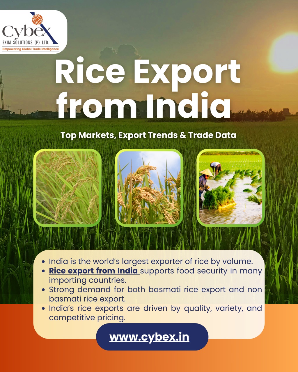 PPT - Rice Export from India Top Markets, Export Trends & Trade Data ...
