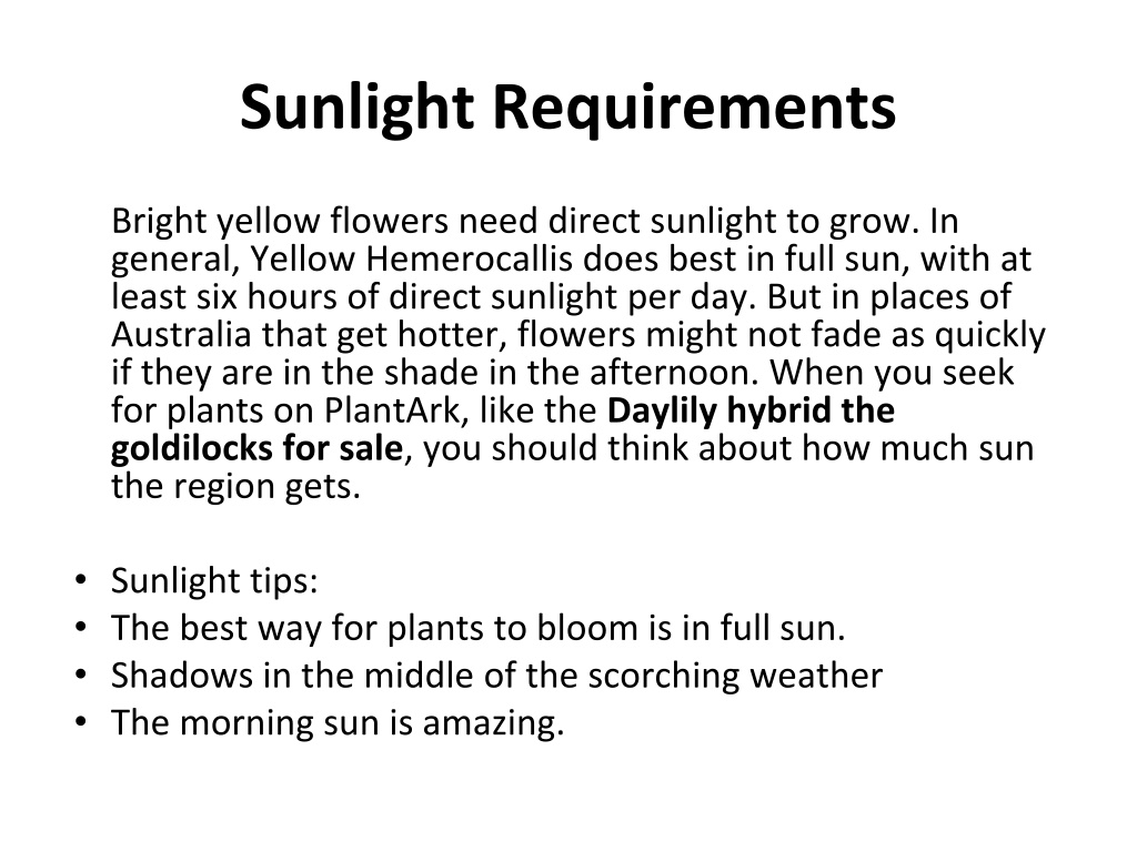 PPT - Ideal Growing Conditions for Yellow Hemerocallis PowerPoint ...