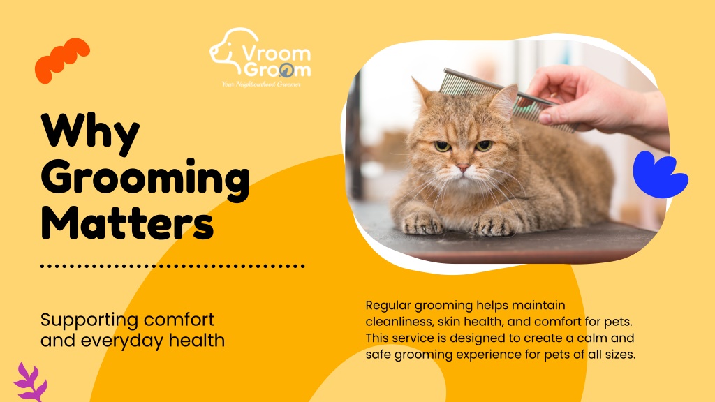 PPT - Pet Grooming Dubai Expert Mobile Spa Services at Your Door ...