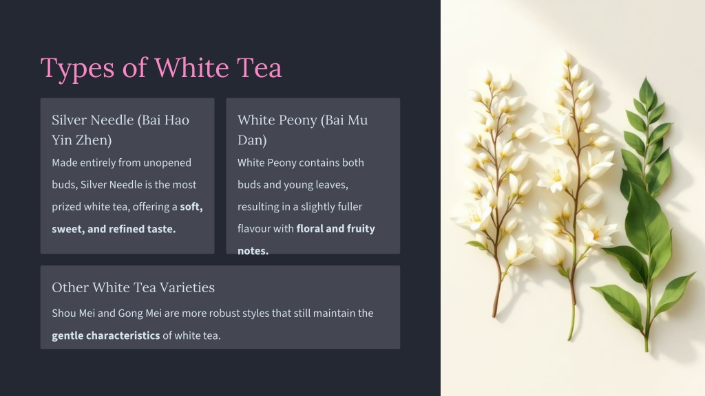 PPT - White Tea_ A Complete Guide to the Most Delicate Tea in the World ...