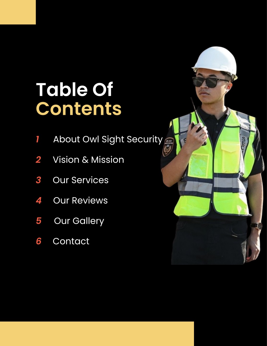PPT - Become Familiar With Owl Sight Security Services in Los Angeles ...